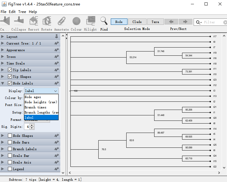 ggtree/FigTree可视化系统发育树及bootstrap值_figtree怎么加自展值-CSDN博客