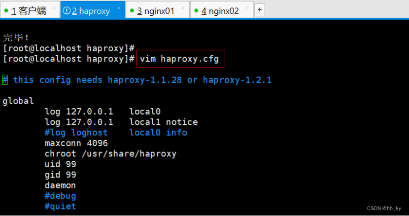 2023年最新haproxynginxkeepalived综合运用haproxy Keepalived Nginx Csdn博客