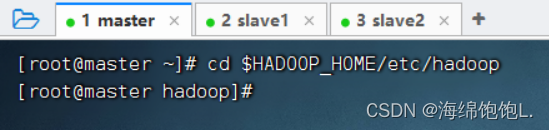 Hadoop集群构建（四）_hadoop-env.sh-CSDN博客