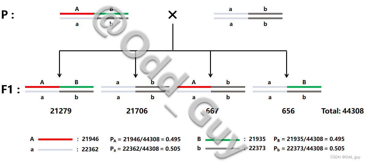 连锁不平衡及LD decay analysis-CSDN博客