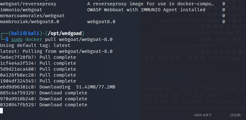 Docker安装webgoat 安装一个 Docker 的 Webgoat 镜像 Csdn博客