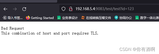 springboot配置ssl证书，同时支持https、wss和ws、http_springboot wss-CSDN博客