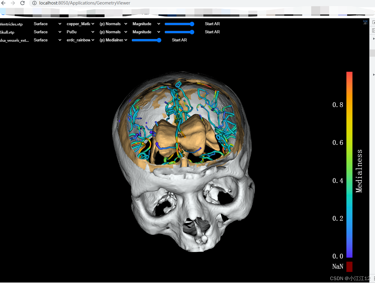 vtk.js中vtp下载_vtk.js中fetchbinary-CSDN博客