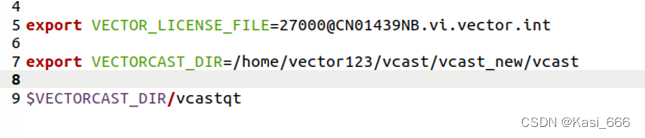 VectorCAST安装指南_vectorcase 2020-CSDN博客