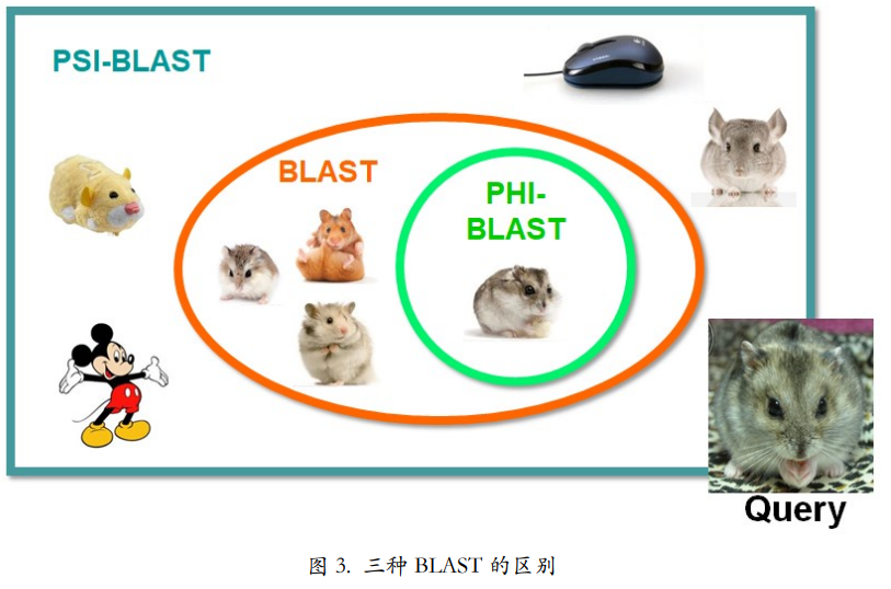 【生信MOOC】生物序列比对工具_序列比对在线-CSDN博客