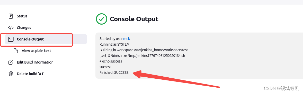 Jenkins 安装以及初始化_jenkins 重新初始化-CSDN博客