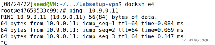 seedlab:V** tunneling The Container Version_seedlab:virtual private network lab-CSDN博客