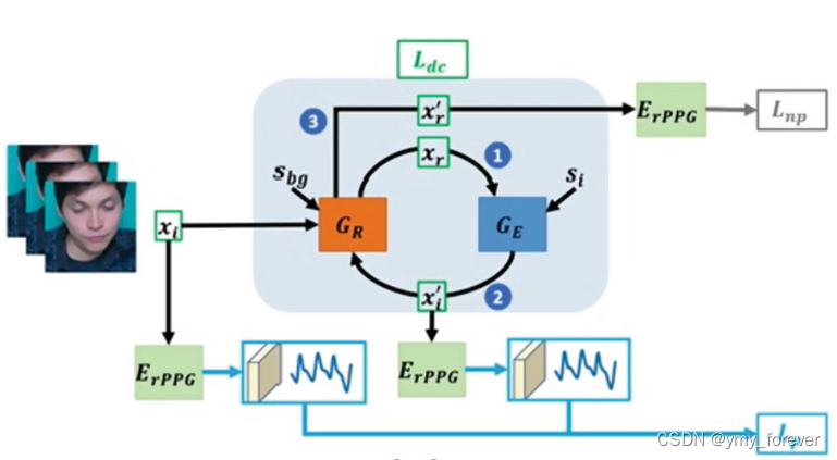 【rPPG论文阅读】Learning to Remove and Embed rPPG Signals via Double Cycle Consistent Learning_rppg经典 ...