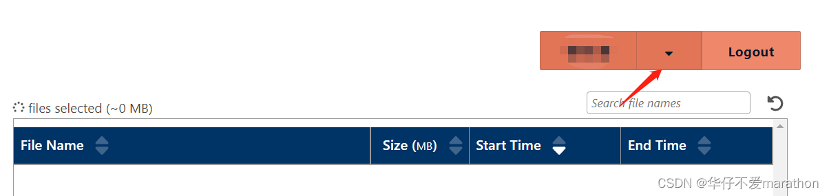 下载ICESat-2数据_icesat2数据可视化下载-CSDN博客