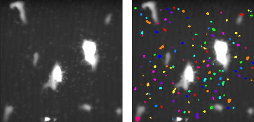 Halcon之Blob分析_halcon blob分析-CSDN博客