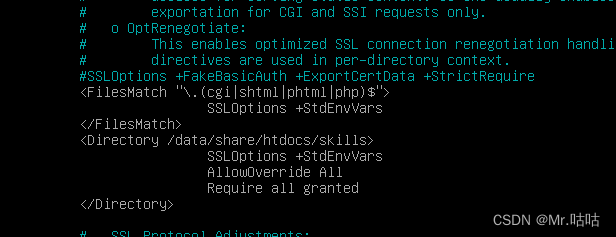 Debian使用Apache2搭建https网站_apache2搭建网站-CSDN博客