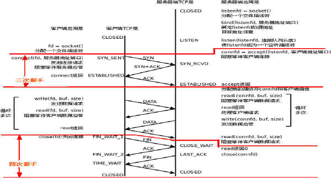 linux网络编程-网络分析测试工具、封包、IP和TCP头_linux tcp测试工具-CSDN博客