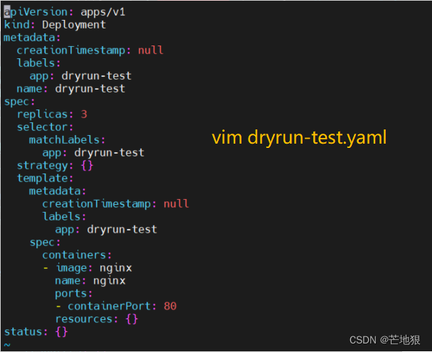 [云原生K8S] Yaml文件详解_ingress job-CSDN博客