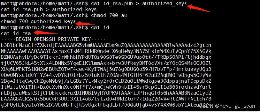 HTB-Pandora_pandora fms-CSDN博客