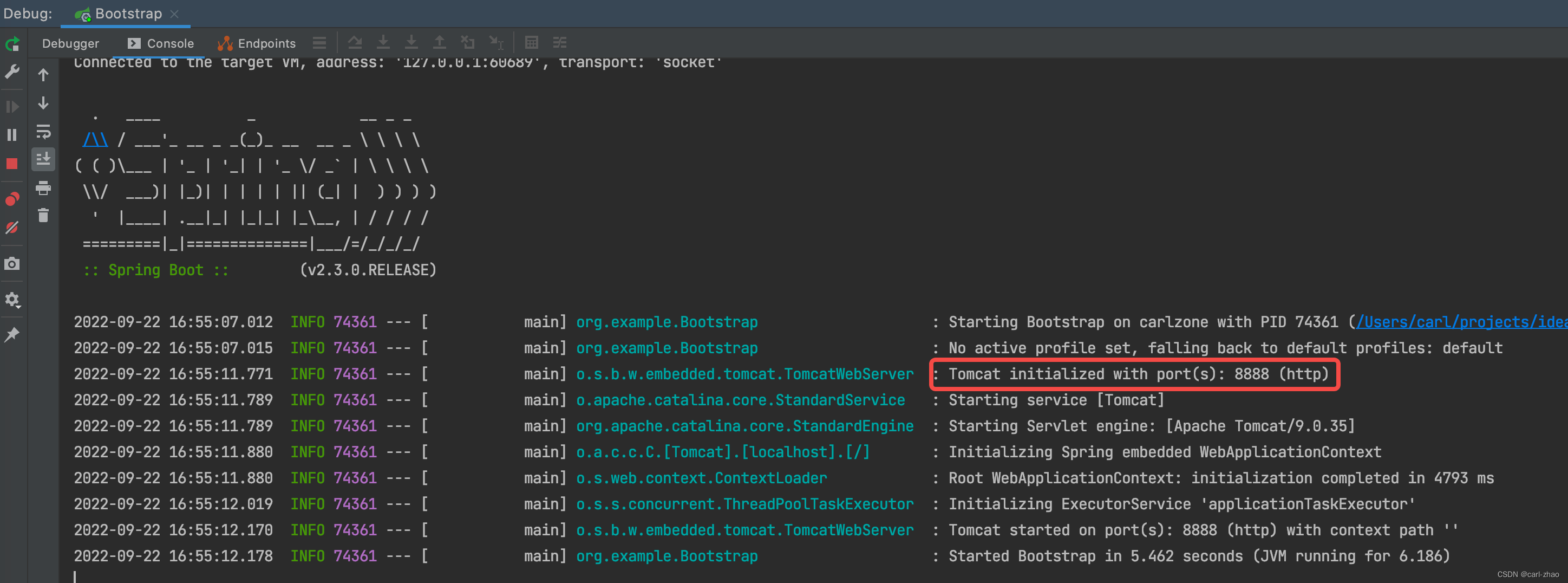 Spring Boot HTTP idea Springboot carl zhao CSDN 