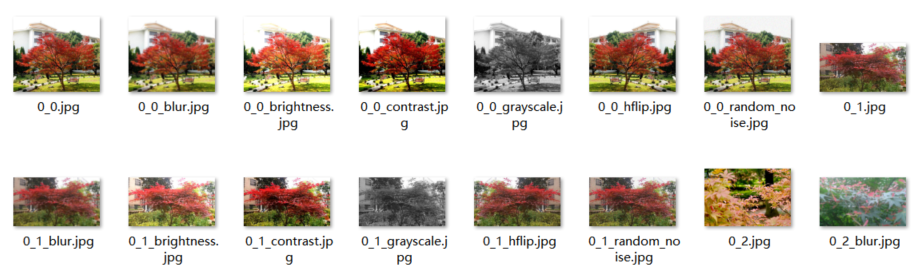Python深度学习-Data Augmentation：使用Augly库进行图片数据增强_augmentation 库-CSDN博客
