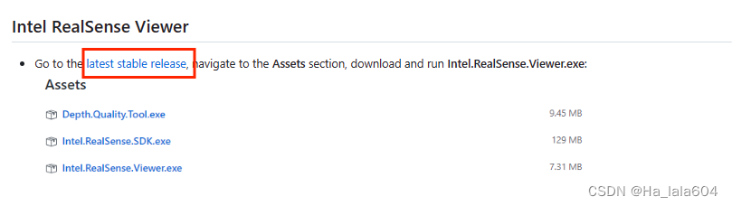 Intel的RealSenseD435学习历程（一）搭配windows+python环境_realsense windows-CSDN博客