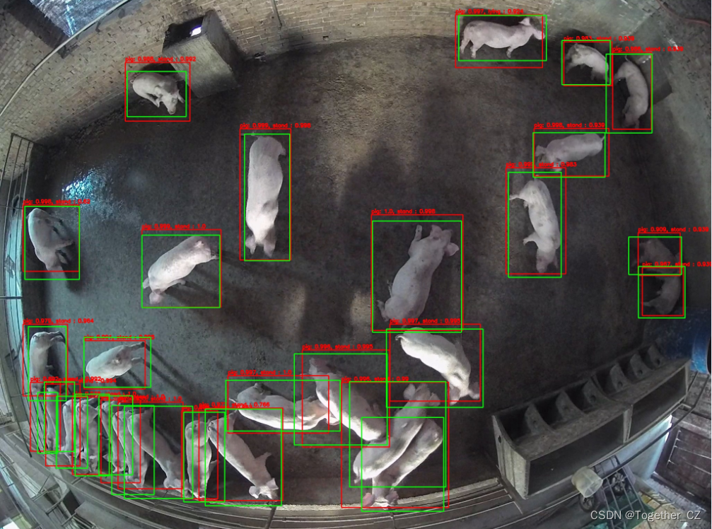 Python基于yolov4实现生猪检测及状态识别生猪图像数据集 Csdn博客