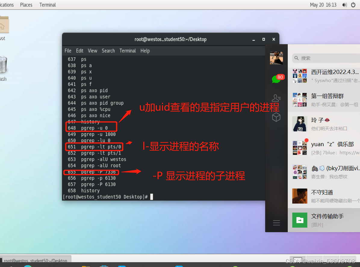 Linux 中的进程管理_linux stop task-CSDN博客