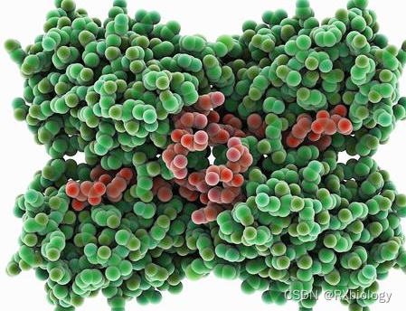 DyLight 594 Labeled Tomato Lectin，Alexa Fluor 488-ABL-荧光标记凝集素 ...