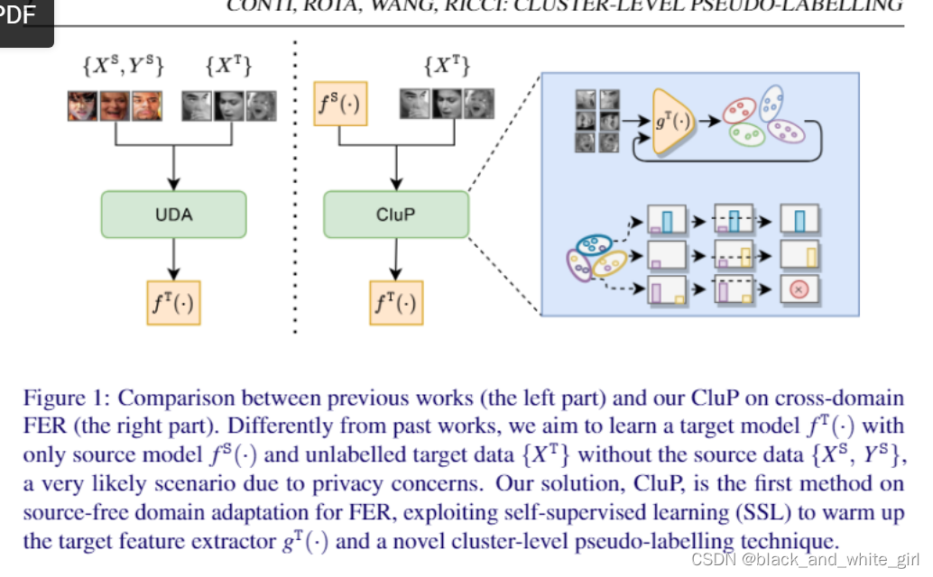 Cluster-level pseudo-labelling forsource-free cross-domain facial expressionrecognition-EW帮帮网
