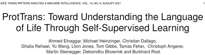 ProtTrans：使用迁移学习利用自监督模型理解蛋白质“语言”-CSDN博客