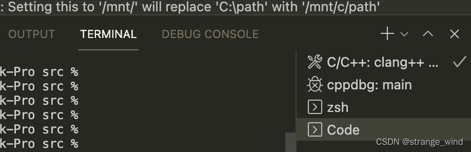 Vscode 无法输入输出 Vscode终端无法输入命令 Csdn博客