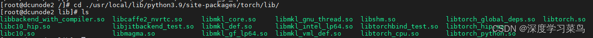 ImportError: libmkl_gf_lp64.so: cannot open shared object file: No such file or directory-CSDN博客