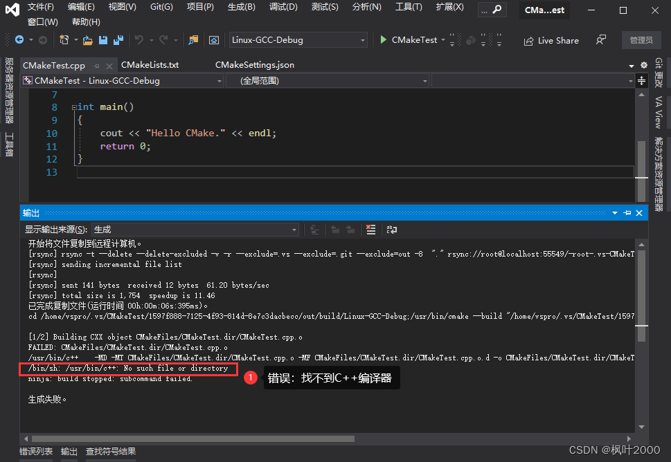 Visual Studio连接Linux服务器编译CMake项目，生成在Linux上运行的程序_vs运行在linux-CSDN博客