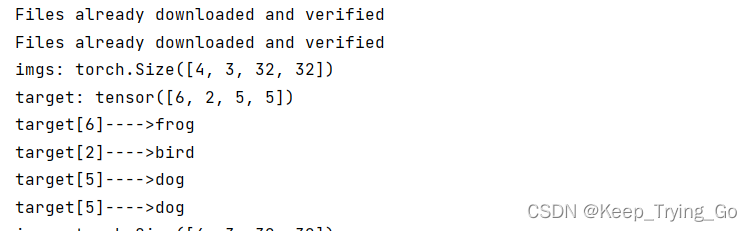 使用pytorch加载数据集和对数据集进行处理_print('datasize : {}'.format(len(dataloader.datase-CSDN博客