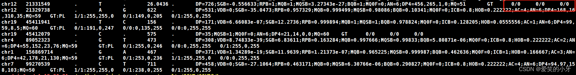 批量从bam文件获取指定位置的碱基_bam文件怎么提取基因序列-CSDN博客