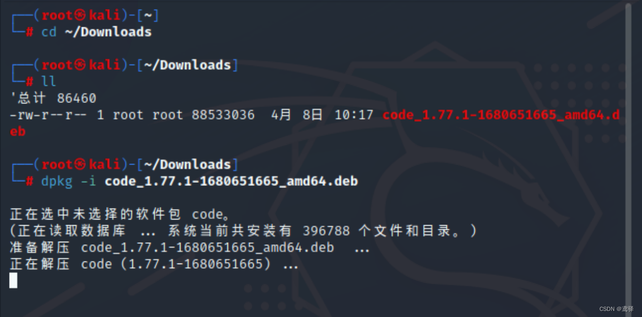 Kali-linux新手教程，分辨率推荐，中文配置，中文输入法，VScode配置，root配置_kali linux 新手教程-CSDN博客
