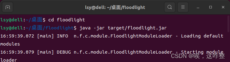 floodlight+mininet DDos_floodlight实现ddos入侵与检测功能-CSDN博客