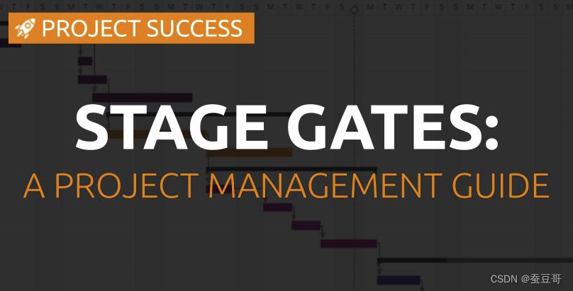 NPDP门径管理流程Stage-Gate之Stage(阶段)-CSDN博客