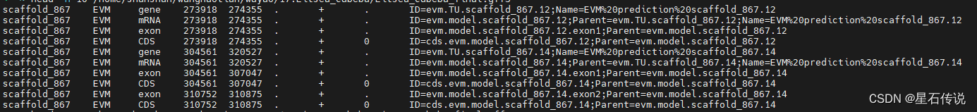 实验篇——鉴定不同基因的复制模式_dupgen-finder-CSDN博客