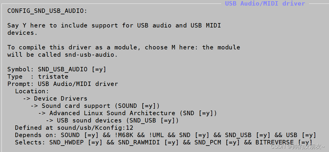 arm linux alsa驱动使用 usb 声卡_alsa驱动内核配置-CSDN博客