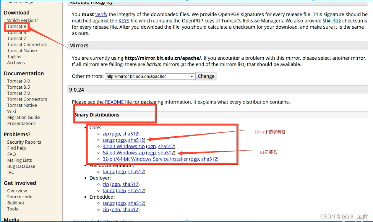 3、Tomcat-CSDN博客