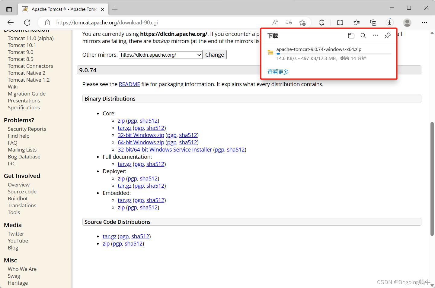 Apache Tomcat 官网下载（保姆级教程）_apache tomcat下载-CSDN博客