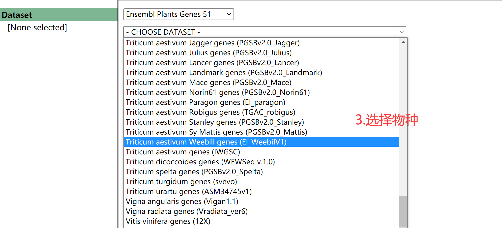 Ensemble-BioMart:得到基因注释信息（有参考基因组的物种）_ensemble - biomart-CSDN博客