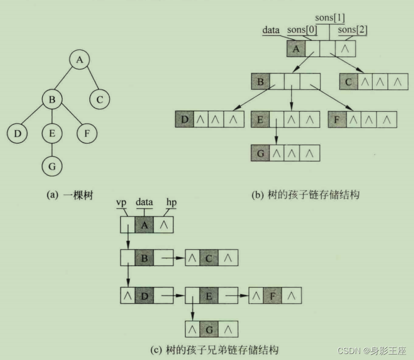数据结构第七章1知识总结当t使用孩子兄弟链来存储时t的空指针域个 Csdn博客