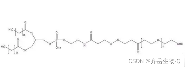 DSPE-PEG-NHS 磷脂聚乙二醇琥珀酰亚胺酯 DSPE-PEG3400-NHS-CSDN博客