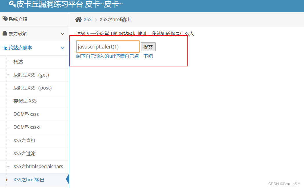 XSS平台偷取cookie使用+XSS漏洞-CSDN博客