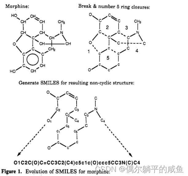 SMILES, a Chemical Language and Information System.【SMILES, 一种化学语言和信息系统 ...