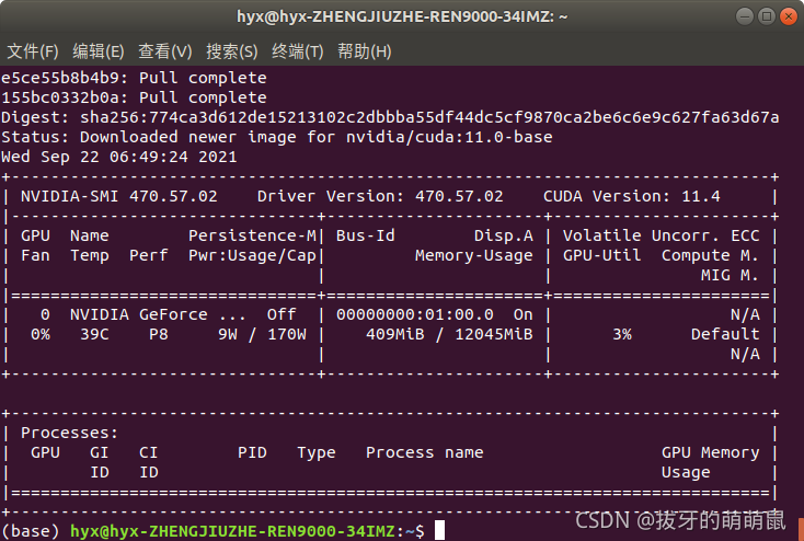 Nvidia Docker安装教程 Csdn博客
