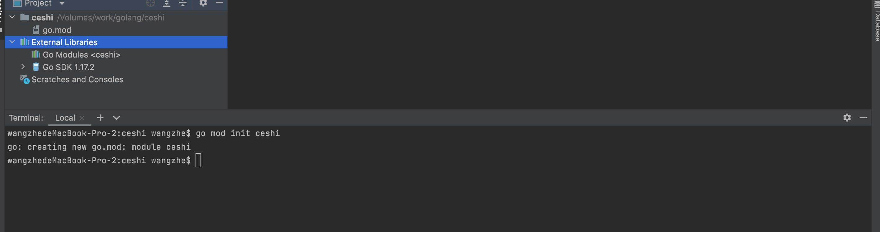 goland go mod /go moudel环境配置_天意～的博客-CSDN博客_goland mod配置