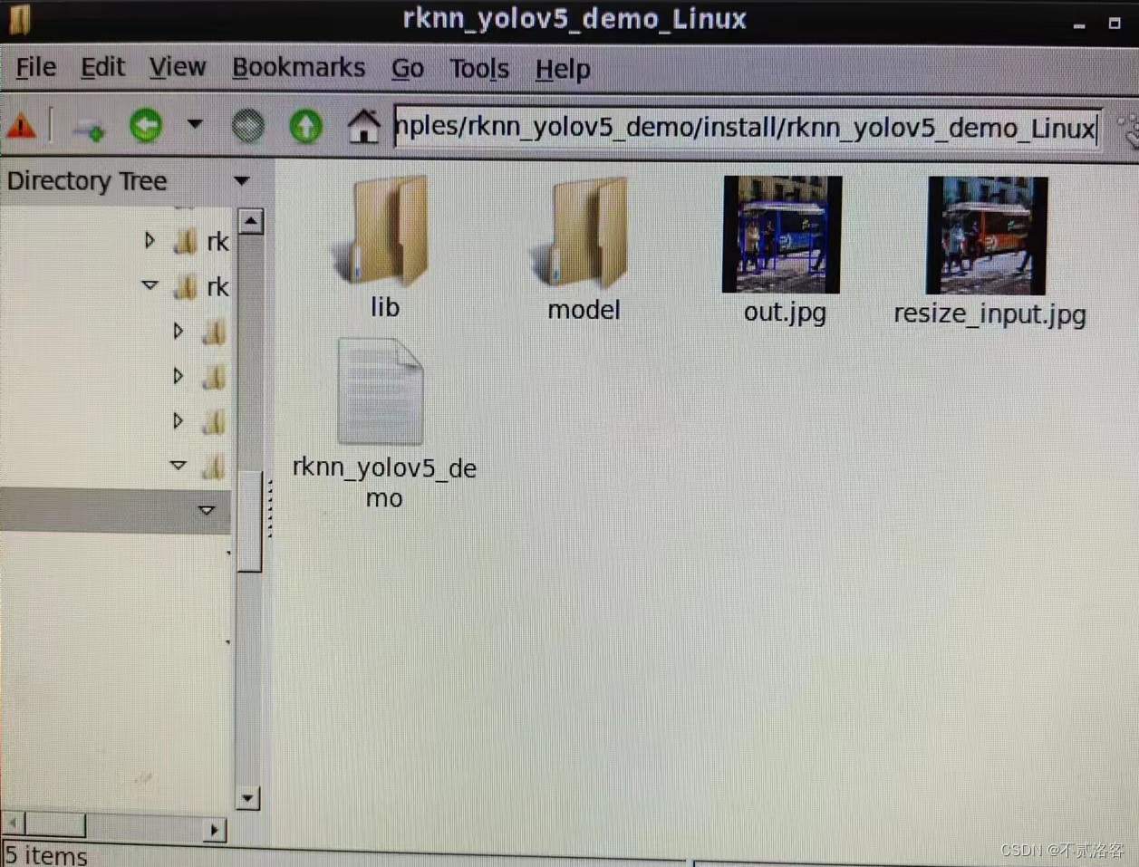 yolov5的运行环境配置、参数修改和训练命令，并将训练的pt模型转换为rknn模型，并推理_yolov5加载pt模型-CSDN博客