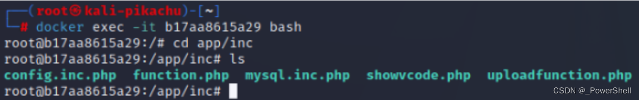 [ 靶场环境片 ] kali-linux采用Docker 搭建 pikachu（特别详细）_kali pikachu安装教程-CSDN博客