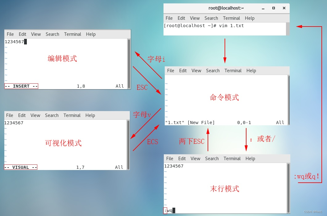 Vim文件编辑器 Csdn博客