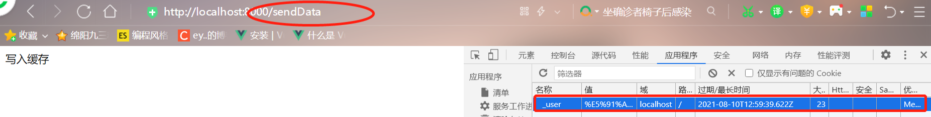 express中间件cookie-parser的使用-CSDN博客