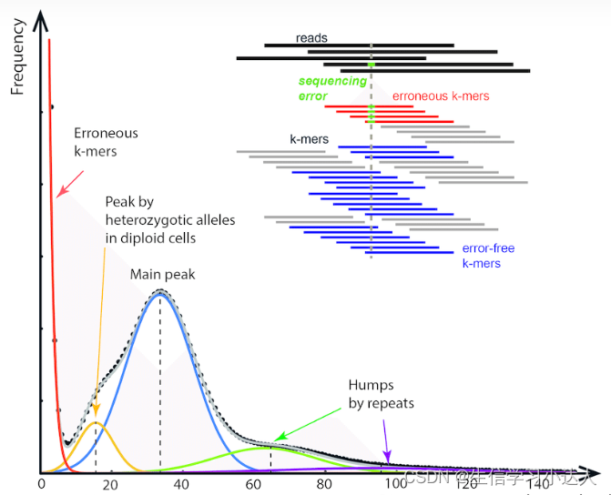 利用K-mer评估基因组大小_k-mer的处理公式-CSDN博客